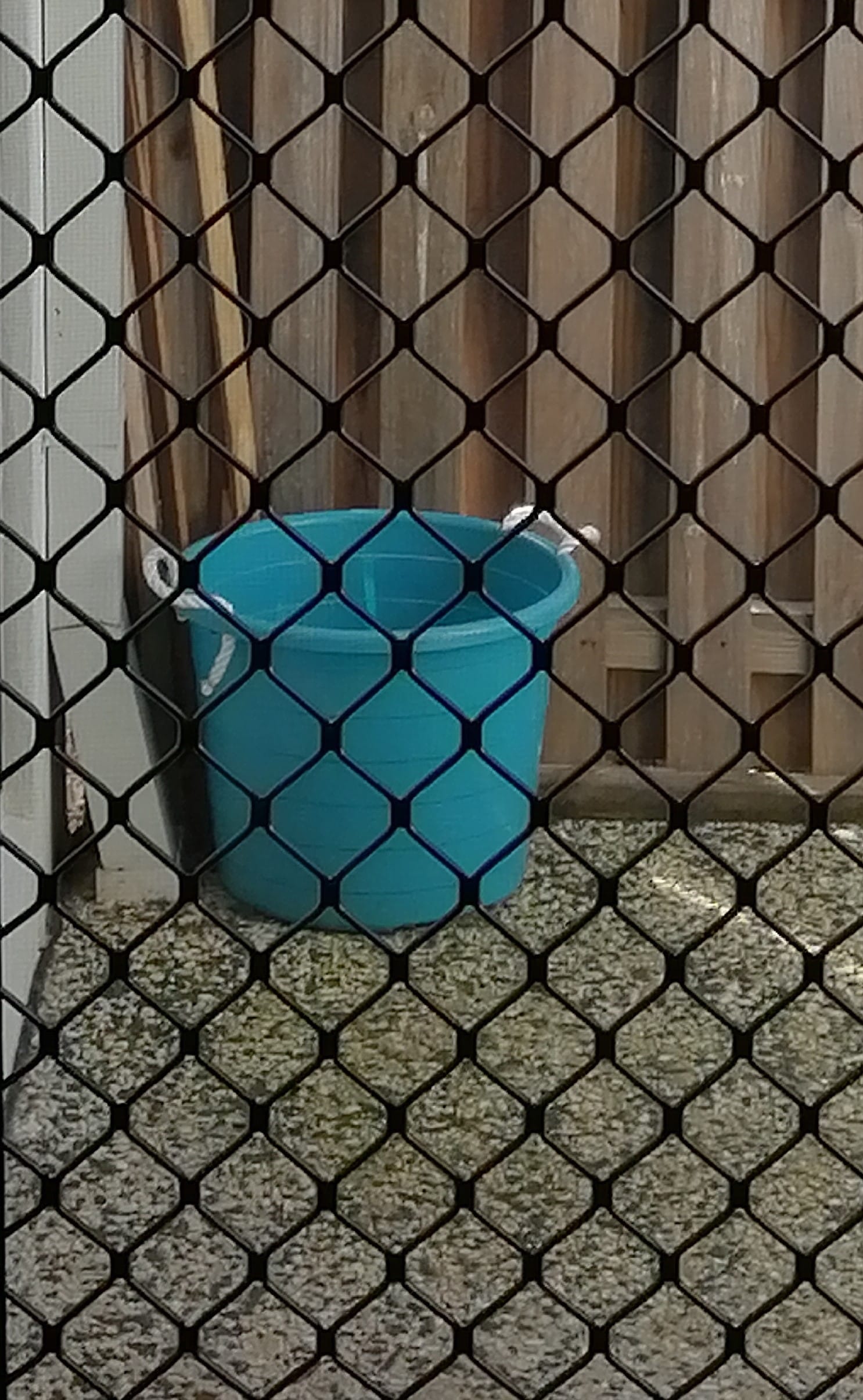 How to Clean Security Screens | Chaplin Screens